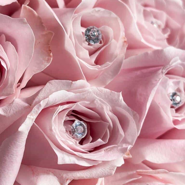 Fresh Rose Bouquet Delivery in KL | Romantic Hand Roses Bouquet